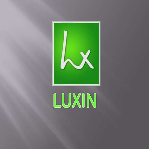 Company profile Luxin | PDF