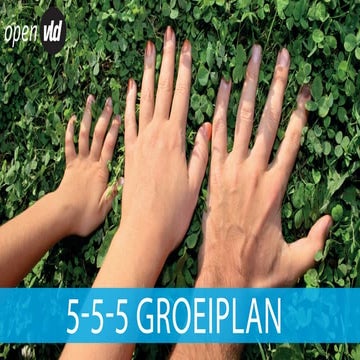 Het 5-5-5 groeiplan van Open Vld | PPT
