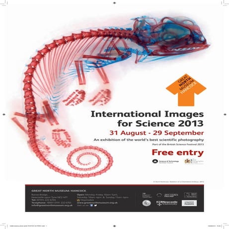 The cartoon museum | PPTX