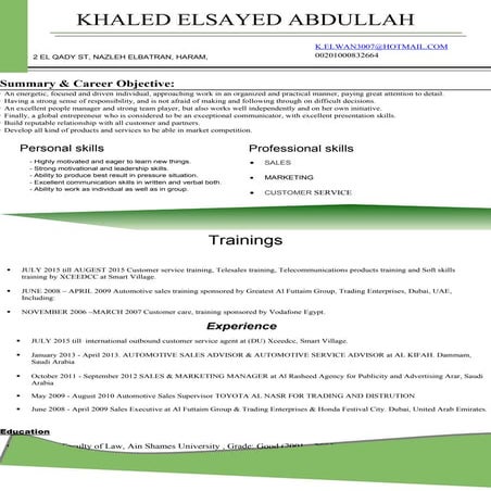 Omer shani visual resume | PPTX