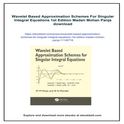 Wavelet Based Approximation Schemes For Singular Integral Equations 1st Edition Madan Mohan ...