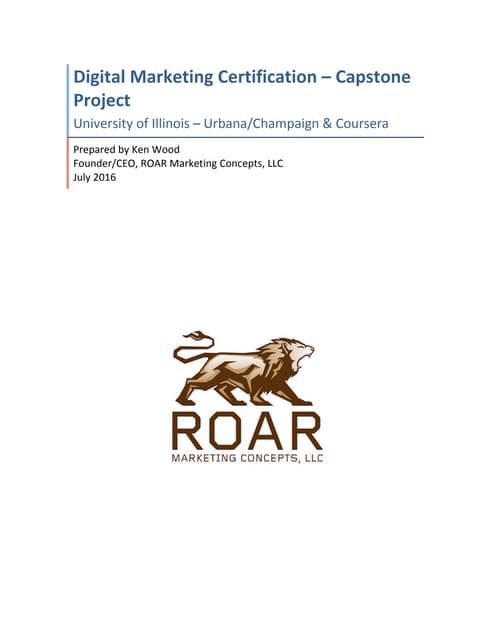 Digital marketing campaign capstone project | PDF