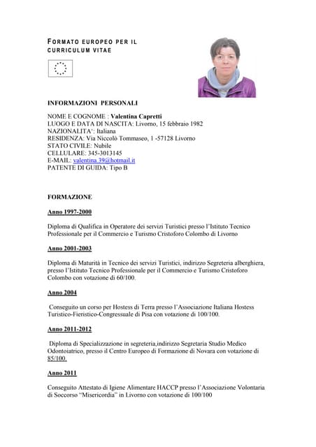 Curriculum Daniele Rina | PDF