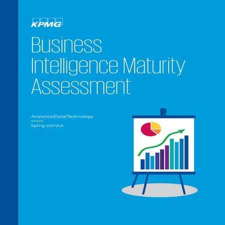 Maturity Assessment | PDF