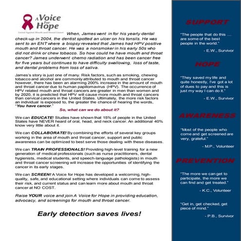 AVFH Case Statement | PDF