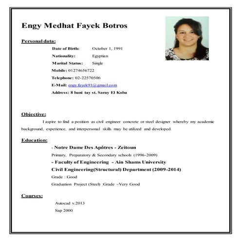 Engy_Medhat_Fayek | PDF