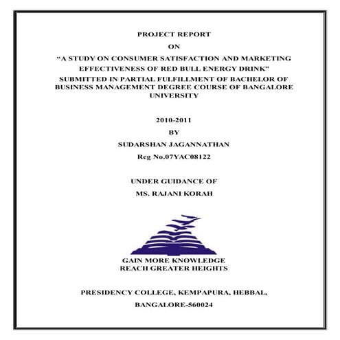 56063601-Red-Bull-Project-Report.docx