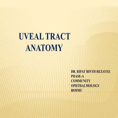 Eyebrows Anatomy . | PPTX