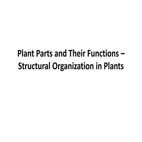 ALL ABOUT PLANTS - morphology and modifications.pptx