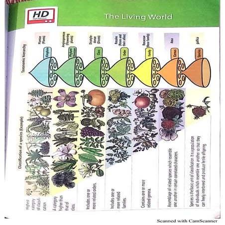 Class 11 Biology diagram note | PDF