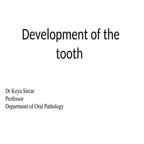 Tooth development cap stage | PPTX