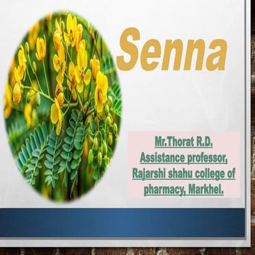 Senna Plant in syllabus of pharmacy, subject pharmacognosy. | PPTX