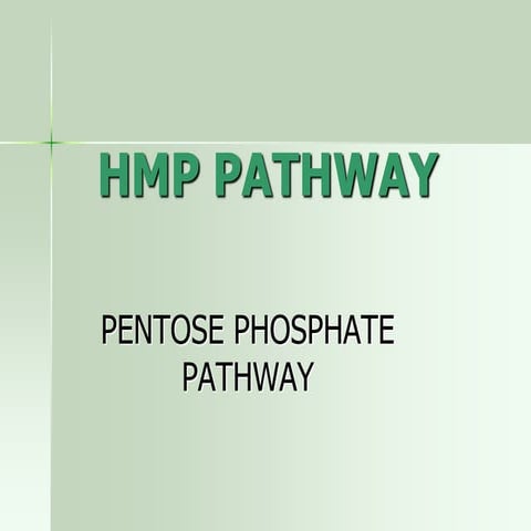563-HMP_SHUNT_PATHWAY.ppt | Endocrine and Metabolic Diseases | Diseases ...