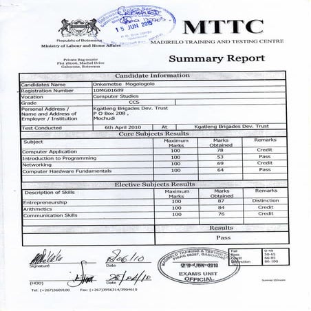 Computer Summary report | PDF