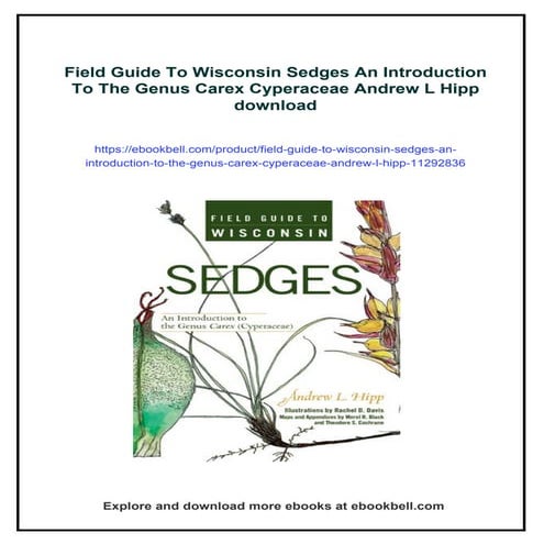 Field Guide To Wisconsin Sedges An Introduction To The Genus Carex ...