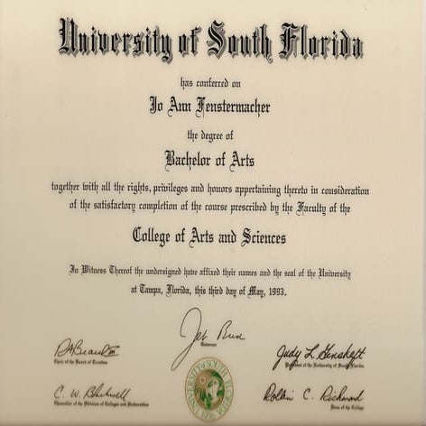 UNIVERSITY OF SOUTH FLORIDA | PDF