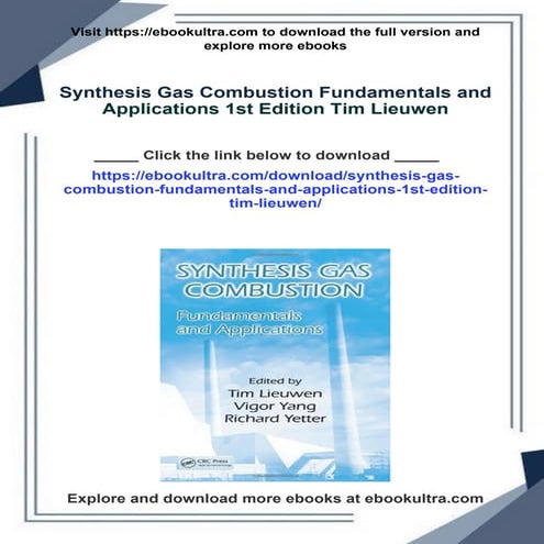 Synthesis Gas Combustion Fundamentals and Applications 1st Edition Tim ...