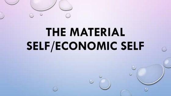 Material-Economic Self.pptx