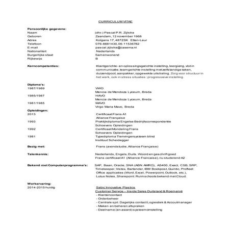 CURRICULUM VITAE Pascal Zijlstra IX | DOCX