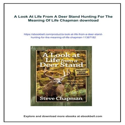 A Look At Life From A Deer Stand Hunting For The Meaning Of Life ...
