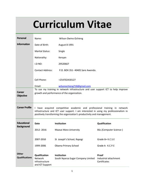 Curriculum vitae | PDF