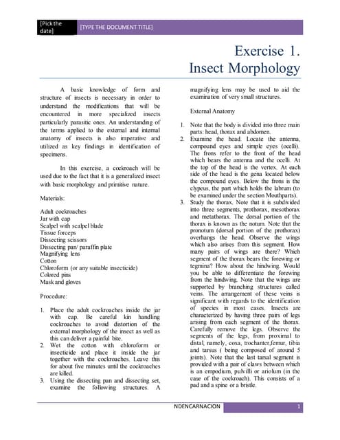 Cockroach Class 11th NEET CBSE NCERT Biology | PDF