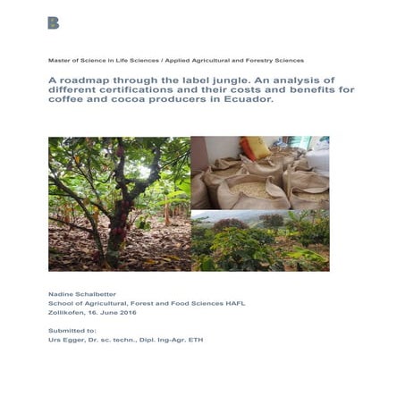 Master Thesis Front Site | PDF