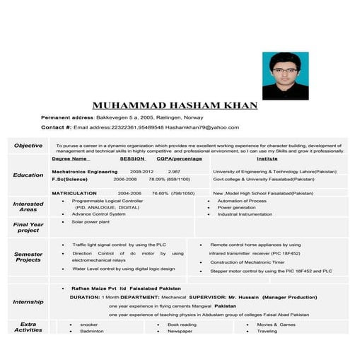 hashim cv | PDF