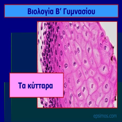 Τα κύτταρα | PDF