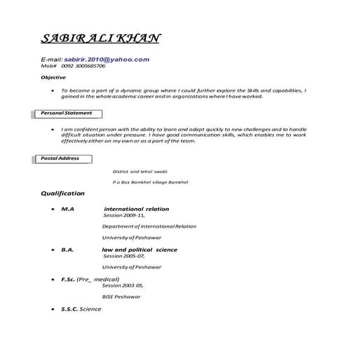 sabir updated c.v | DOCX | Parenting | Family and Relationships