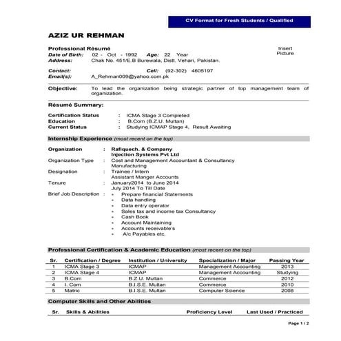 Professional Cv Amjad (2) | DOC
