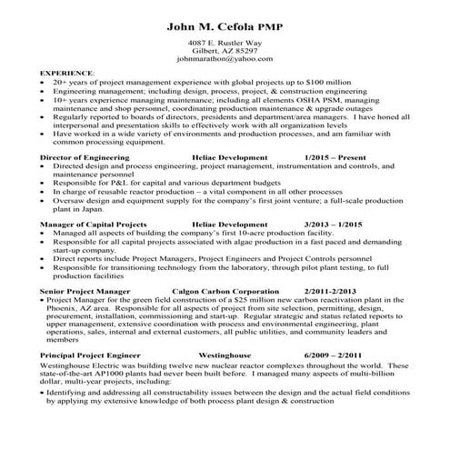 API 510 RESUME | DOCX