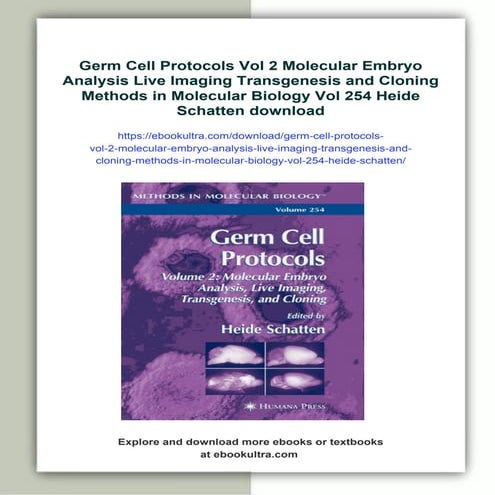 Germ Cell Protocols Vol 2 Molecular Embryo Analysis Live Imaging ...