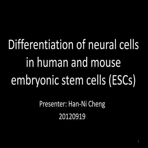 PPT Differentiation_of_neural_cells_in_human_embryonic_stem | PDF