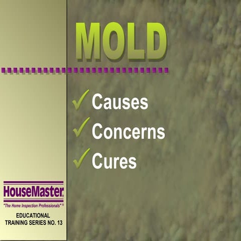 Mold | PPT