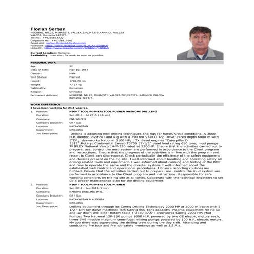 Florian_Serban CV | PDF