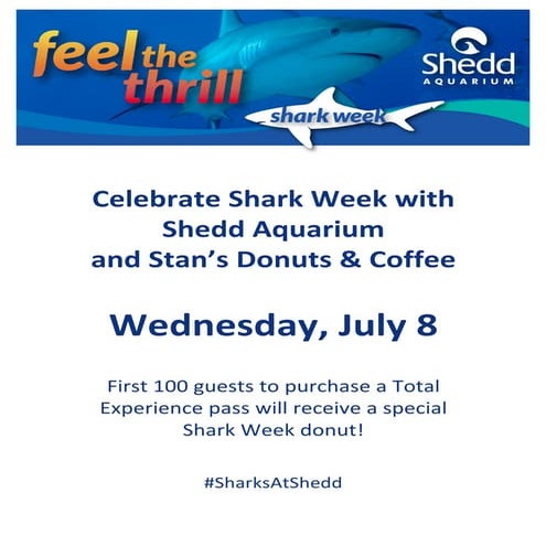 Shark Week Signage | PDF