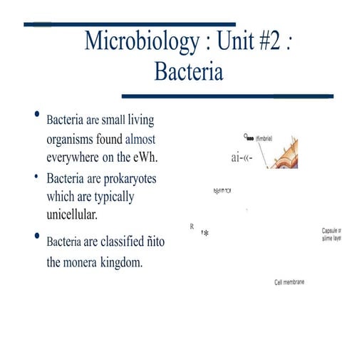Prokaryotes | PPT