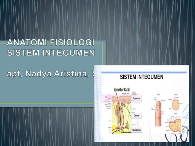 Sistem Integumen | PPTX