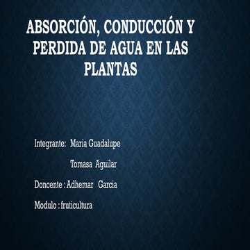 apoplasto y simplasto Absorcion del agua por las plantas | PDF