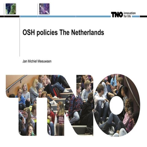 OSH policies in the Netherlands | PDF