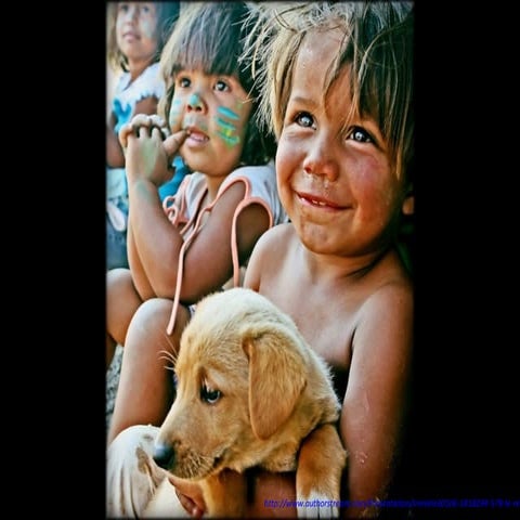 579 - Le regard d'un enfant | PPS