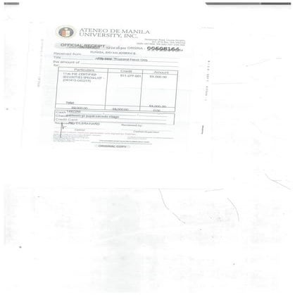 OFFICIAL RECEIPT | PDF