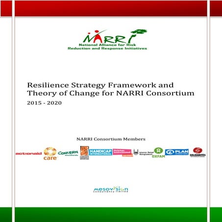 NARRI Resilience Framework | PDF