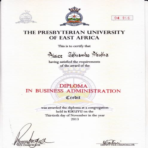 Business Administration Dip Certificate | PDF