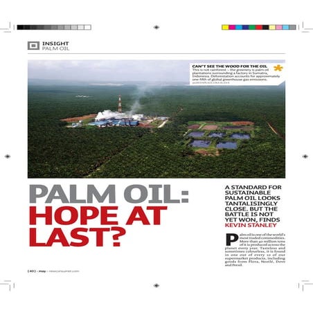 Unilever's Sustainable Palm Oil Journey | PDF