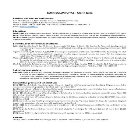 Curriculum Vitae (GMJJ Jong) | PDF