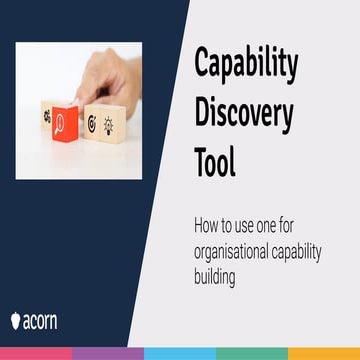 4 Capability Framework Examples | PDF