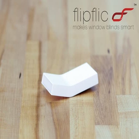 Genus illume - Fly control | PPTX