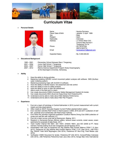 CV Aldi | PDF